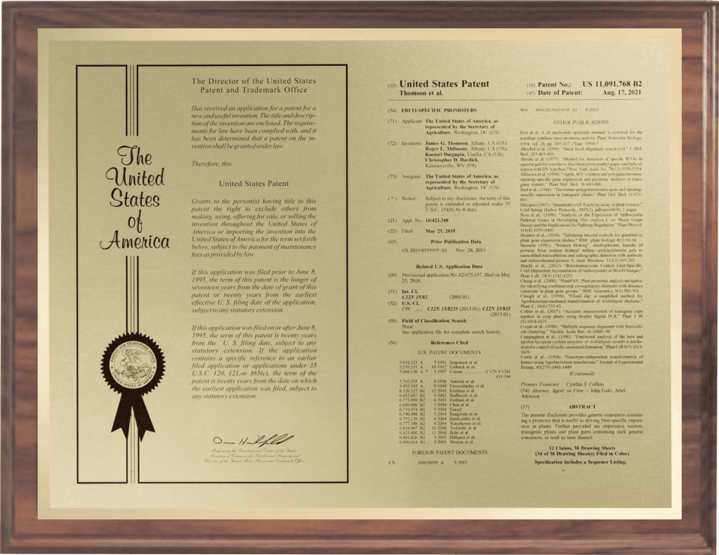 Patent Plaque - Contemporary Dual Page - US Patent Services LLC