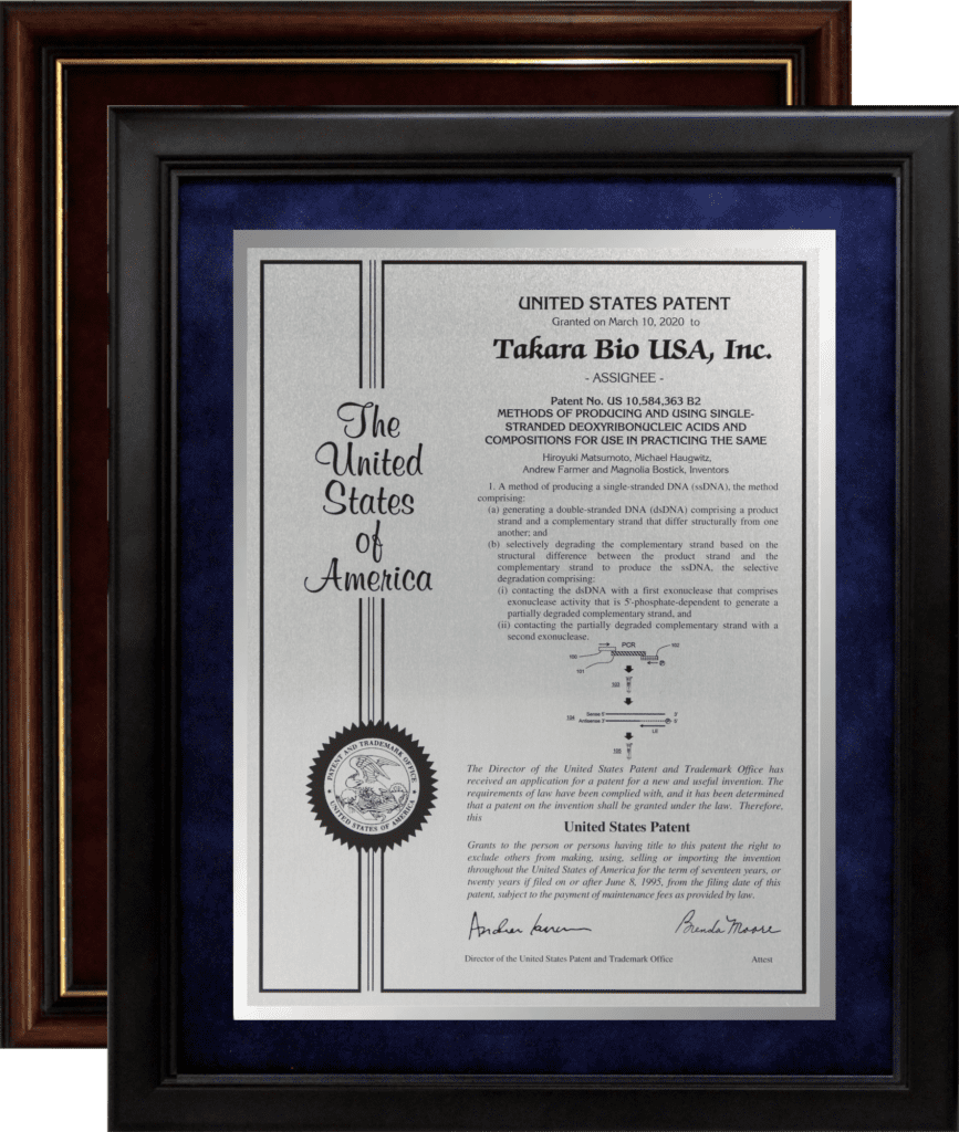 Framed Plate Contemporary - US Patent Services LLC